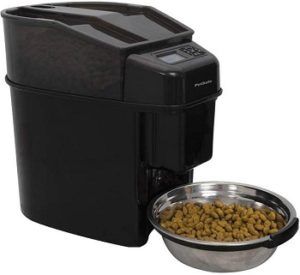 Best 5 Automatic Feeders For Multiple Cats In 2022 Reviews