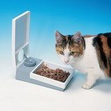 Best 4 Microchip Activated Cat Feeders To Buy In 2022 Reviews